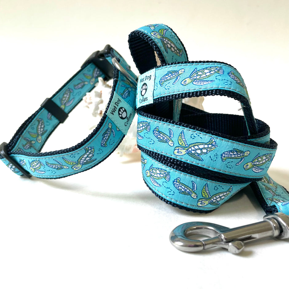 Wet Dog Collars | Designed for the Beach Dog | Saltwater Gear
