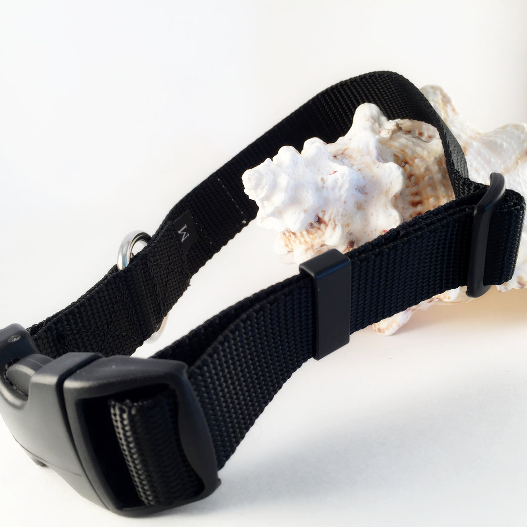 Wet Dog Collars | Gear for the Beach Dog | Saltwater Proof